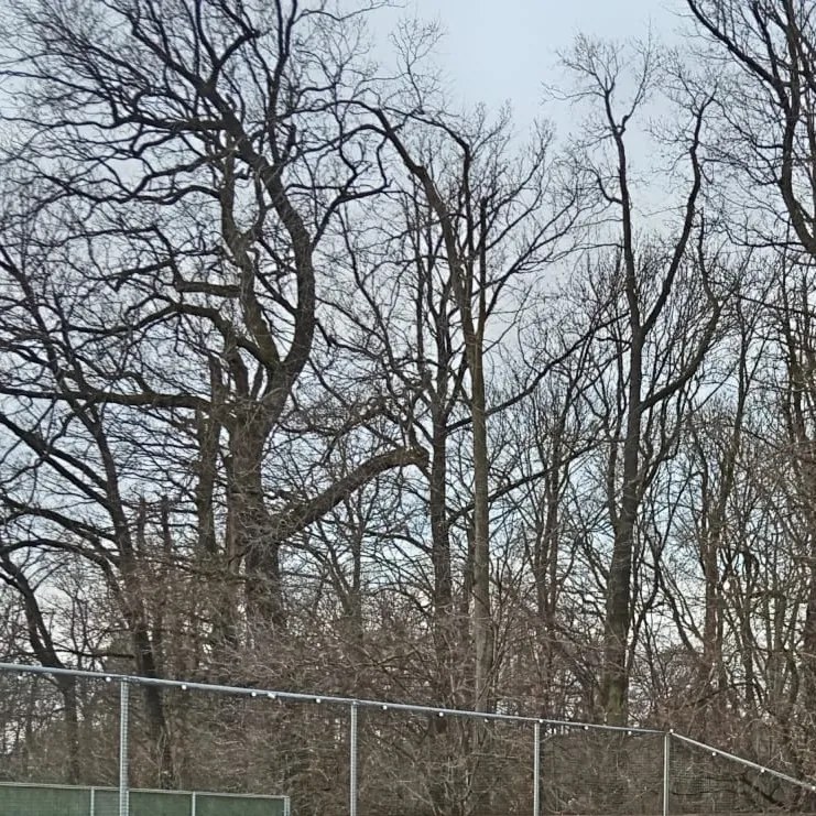 Easy Fix světelná girlanda, venkovní, 10 m pro 10 žárovek E27, černý kabel, IP67, prodlužovací, bez žárovek
