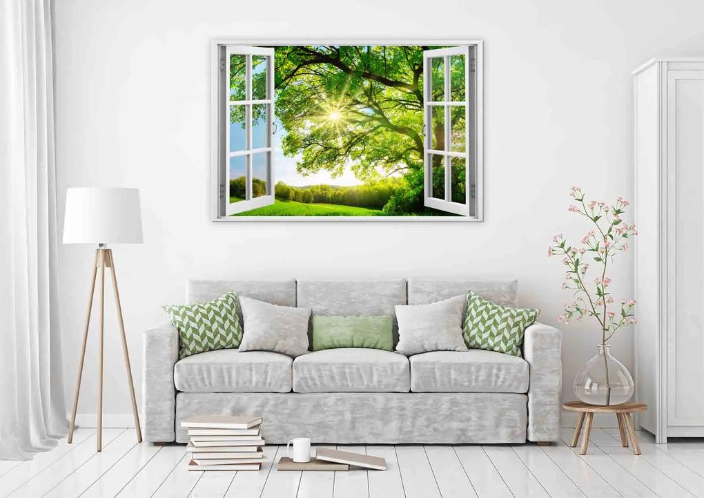 3D obraz okno- obrovský strom Velikost (šířka x výška): 120x80 cm
