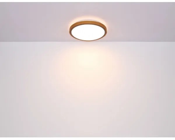 Globo 41766-12 - LED Stropní svítidlo SAMMI LED/12W/230V 3000/4500/6000K