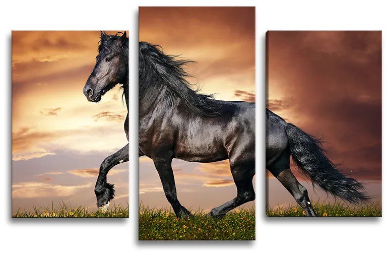 Obraz - 3-dílný SABLIO - Friský kůň 75x50 cm