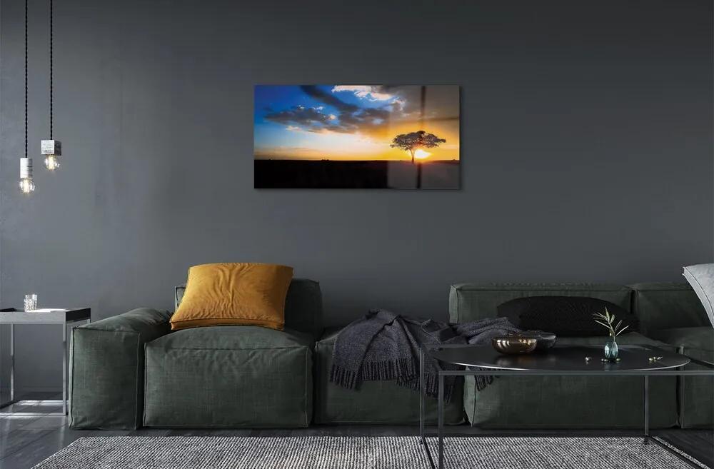 Obraz na skle mraky strom 100x50 cm