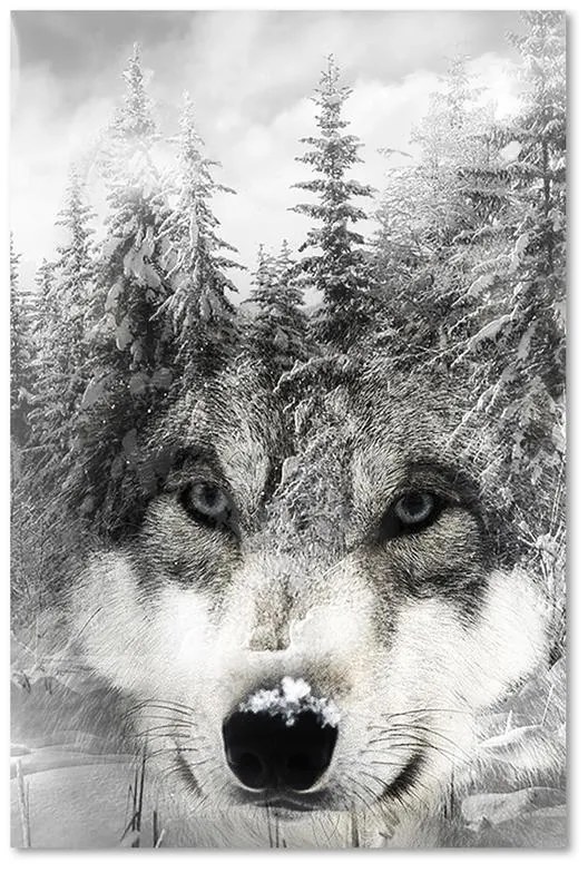 Gario Obraz na plátně Vlk v zimní scenérii Rozměry: 40 x 60 cm