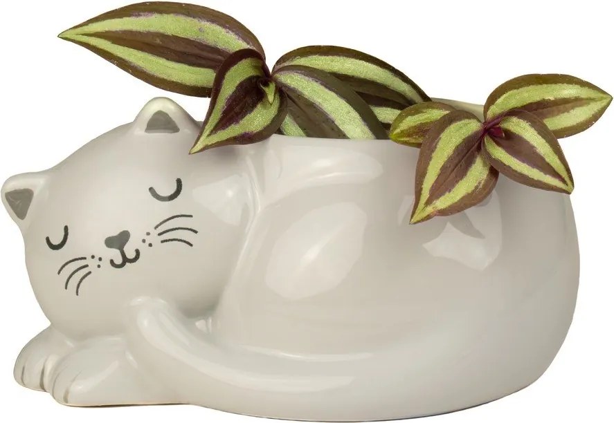 Keramický obal na květináč Sleeping Cat – Sass & Belle