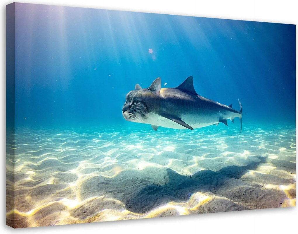 Obraz plátno Canvas Žralok Kočka Moře Oceán 120x80