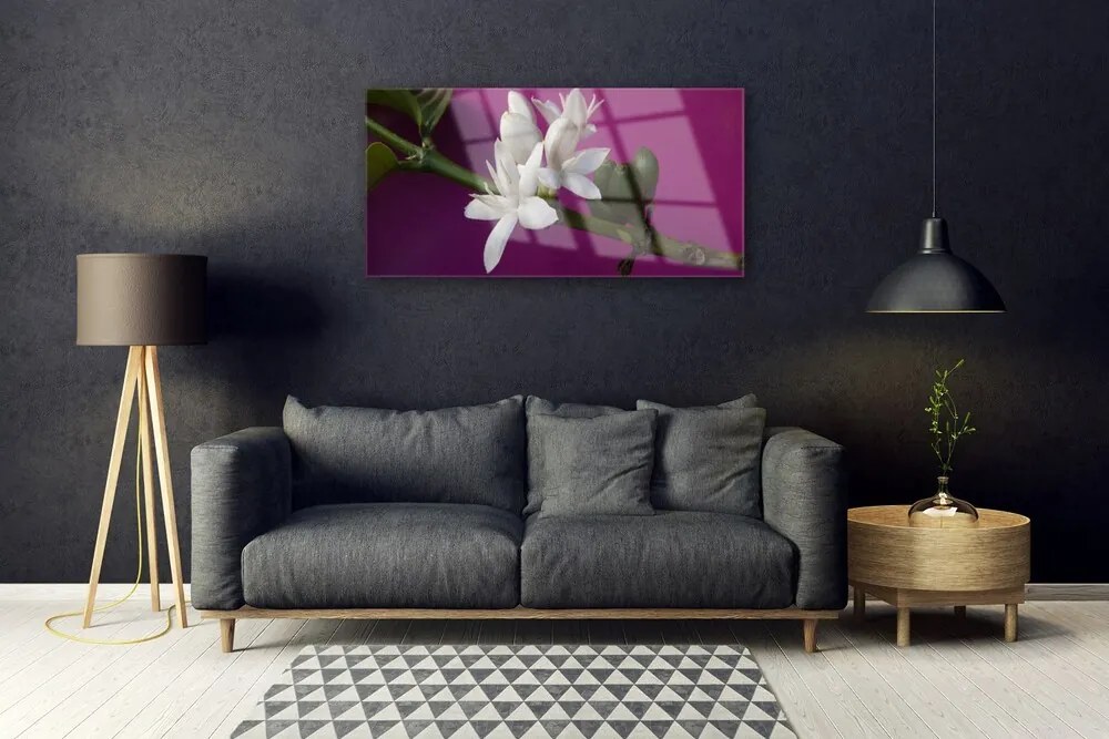 Plexisklo-obraz Květiny Úhonky Příroda 100x50 cm