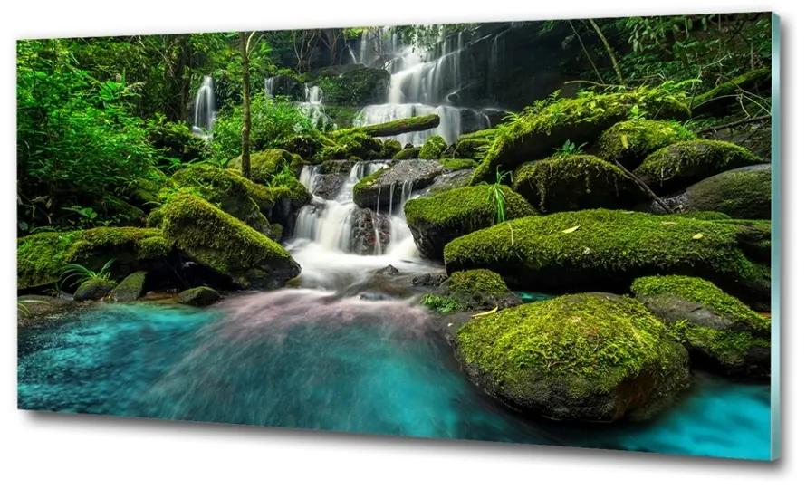 Wallmuralia Fotoobraz na skle Vodopád v džungli 100x50