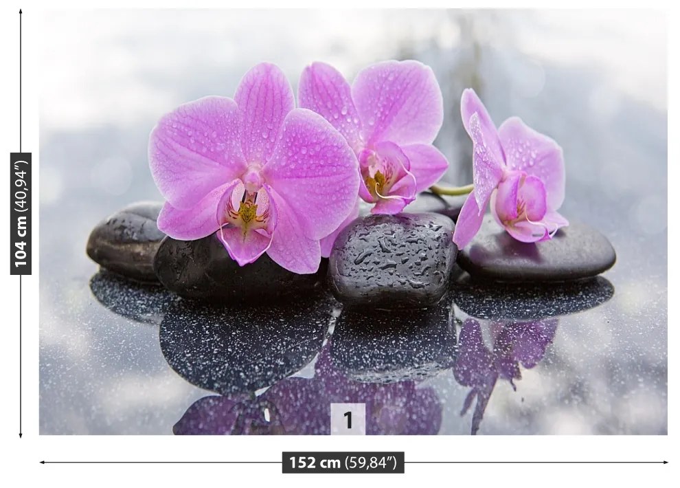 Fototapeta Orchidejové kameny 104x70