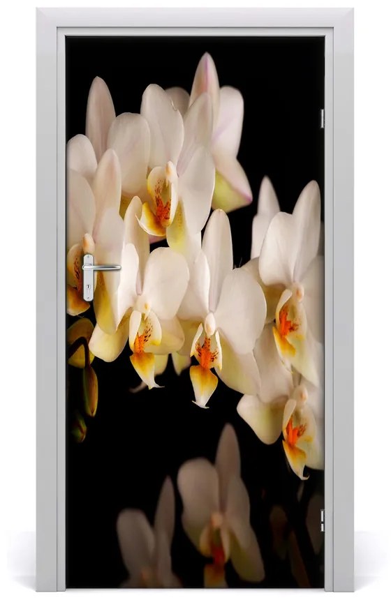 Fototapeta samolepící Orchidej 85x205 cm