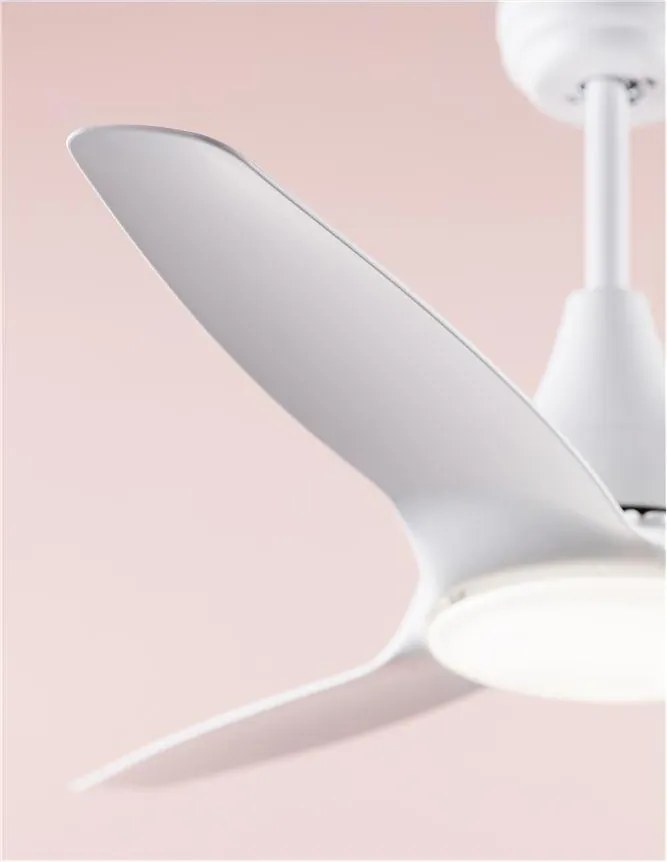NV 5267301 Stropní ventilátor se světlem SAMOA tělo z oceli matná bílá a sklo 3ABS LED 18W 3000K - NOVA LUCE