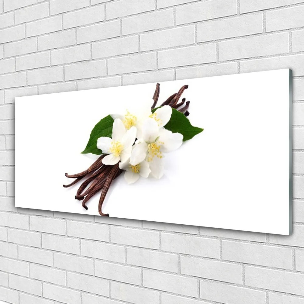 akrylový obraz Vanilková Tyčinka do Kuchyně 125x50 cm