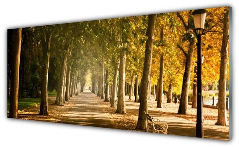 E-shop24, 100 x 50 cm, 1S - 109493270,  Obraz na skle - Park  100 x 50 cm