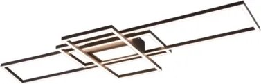 Stropní LED svítidlo TRIO IRVINE 60W 3000K-6500K 620010442