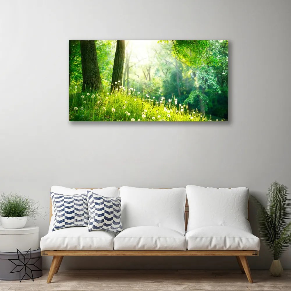 Obraz na plátně Louka Příroda Rostlina 125x50 cm