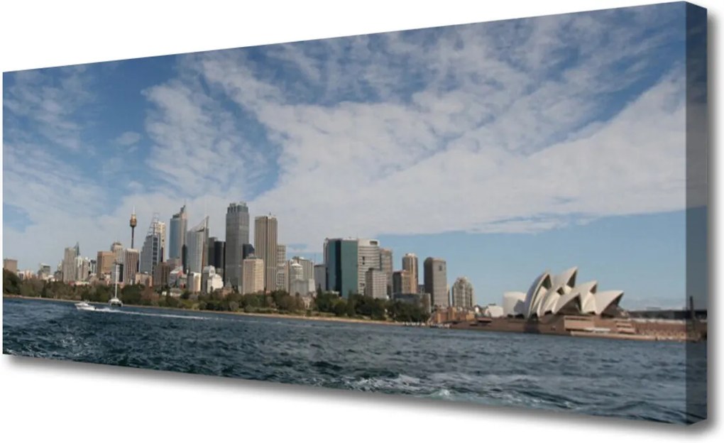 Obraz Canvas Město Moře Domy Sydney