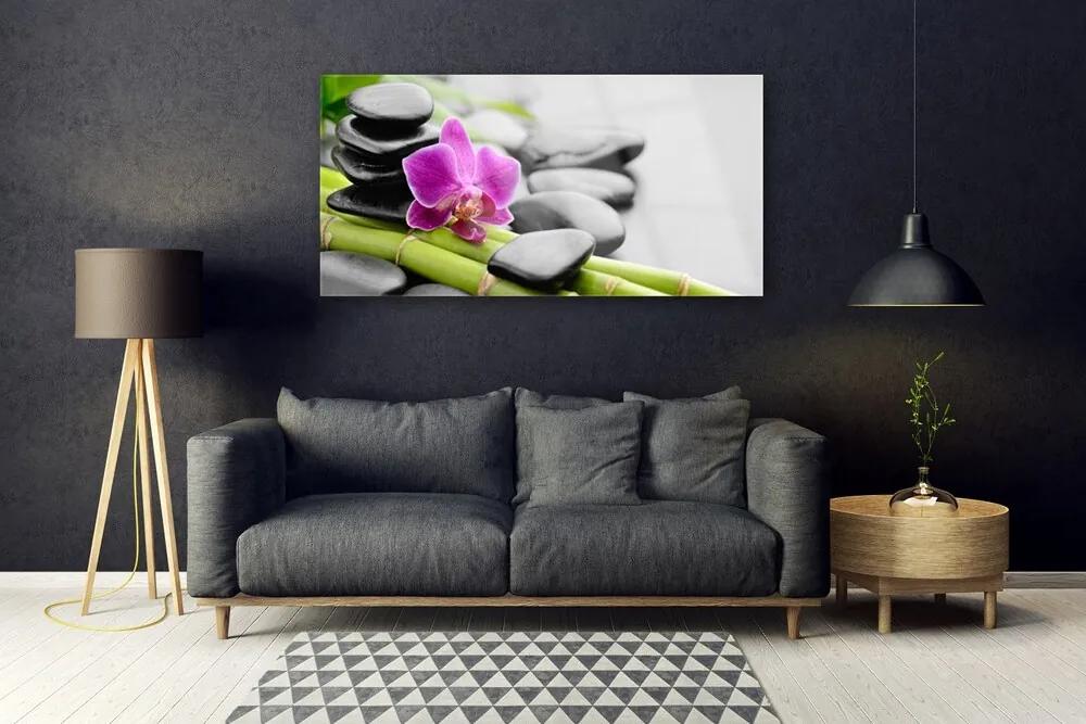 akrylový obraz Bambus Květ Kameny Umění 120x60 cm