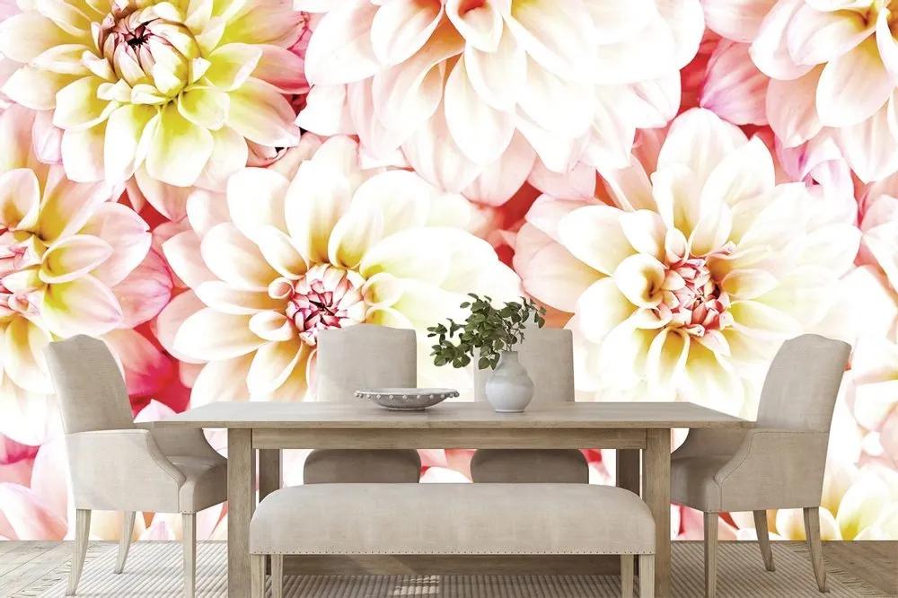 Tapeta dálie pastelové květiny - 150x100 cm