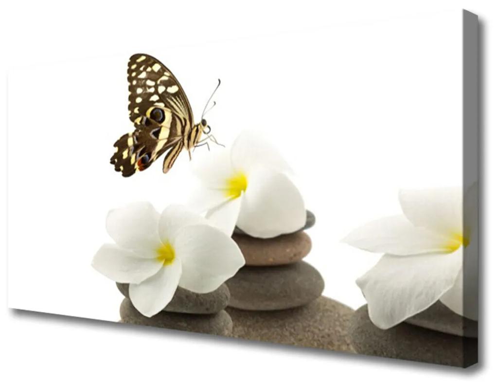 Obraz Canvas Motýl Květ Kameny Rostlina