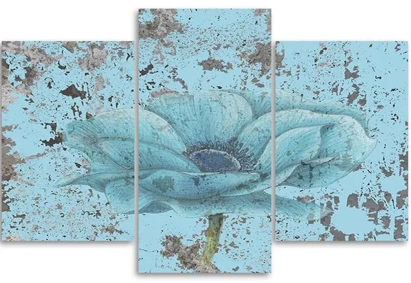 Gario Obraz na plátně Mořská květina retro - 3 dílný Rozměry: 60 x 40 cm