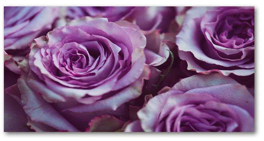 Wallmuralia Foto obraz akrylový do obýváku Fialové růže 140x70 cm