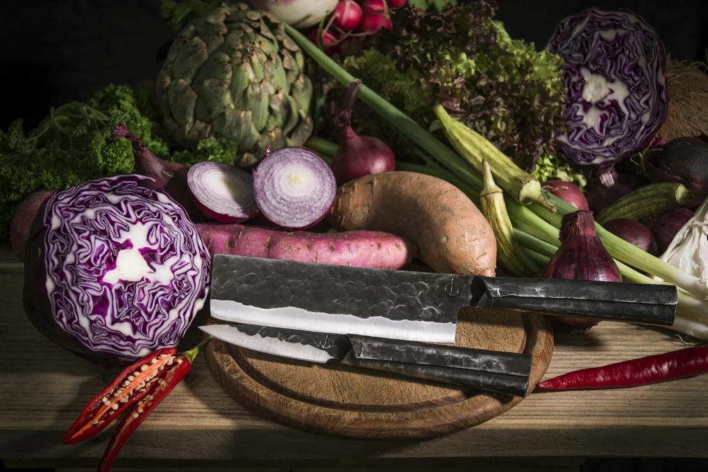 Ručně vyráběné nože z oceli Forged | Sun System Japonský nůž na zeleninu Brute
