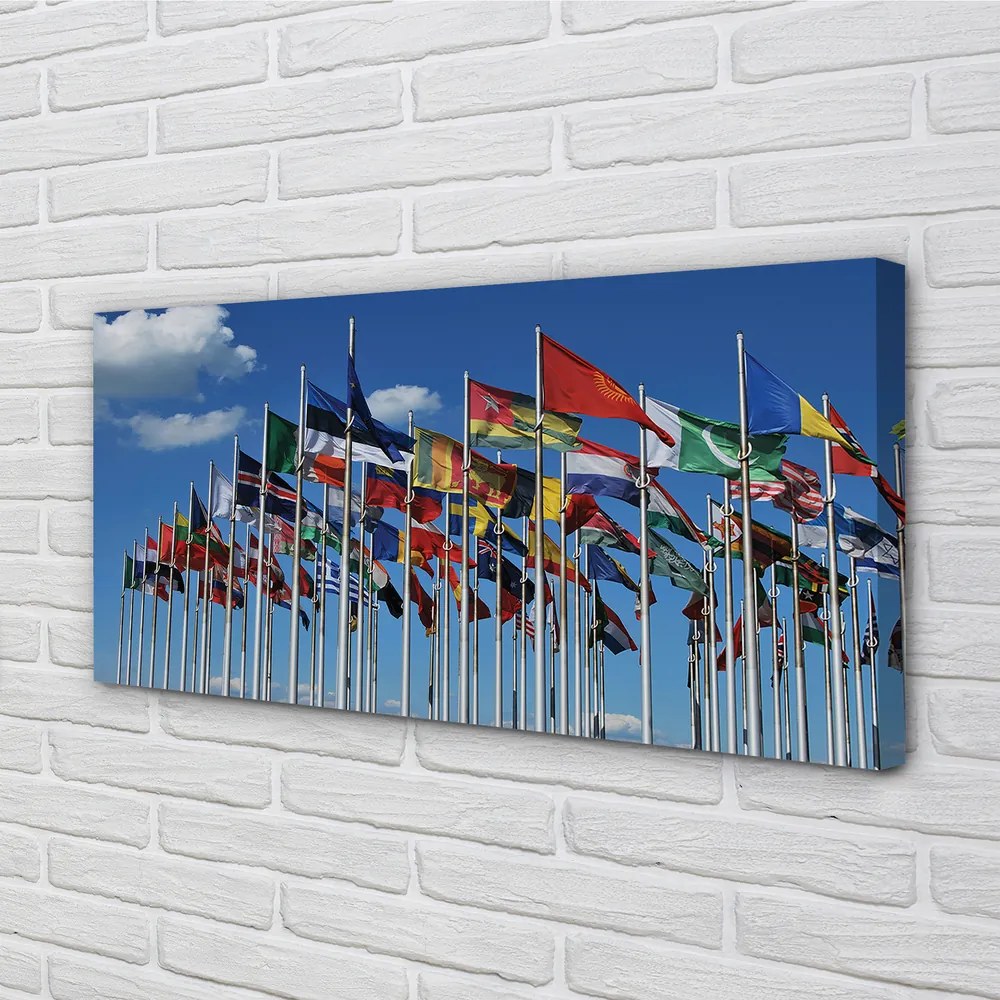 Obrazy na plátně různé vlajky 100x50 cm