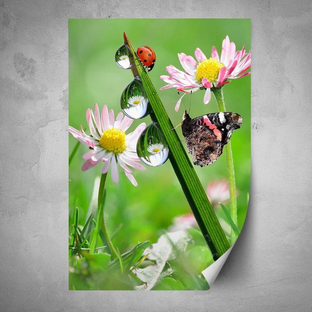 Plakát - Beruška a motýl (80x120 cm) - PopyDesign
