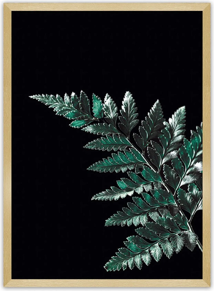 Plakát Dark Fern Leaf