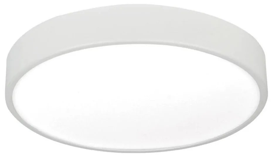 LED Stropní svítidlo LED/12W/230V