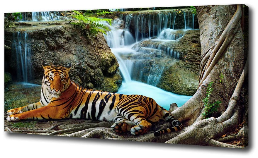 Wallmuralia Foto obraz na plátně Tygr vodopád 100x50 cm