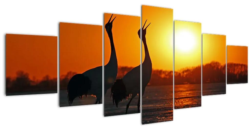 Obraz ptáků při západu slunce (210x100 cm)