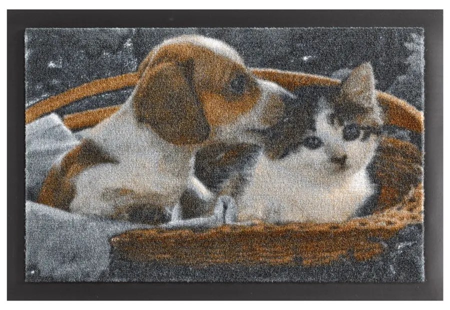 Rohožka Hanse Home Animals Dog and Cat, 40 x 60 cm