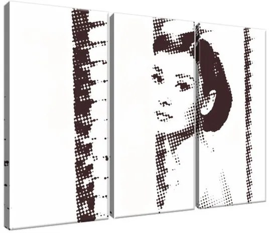 Tištěný obraz Hepburn Audrey 90x60cm 1223A_3J