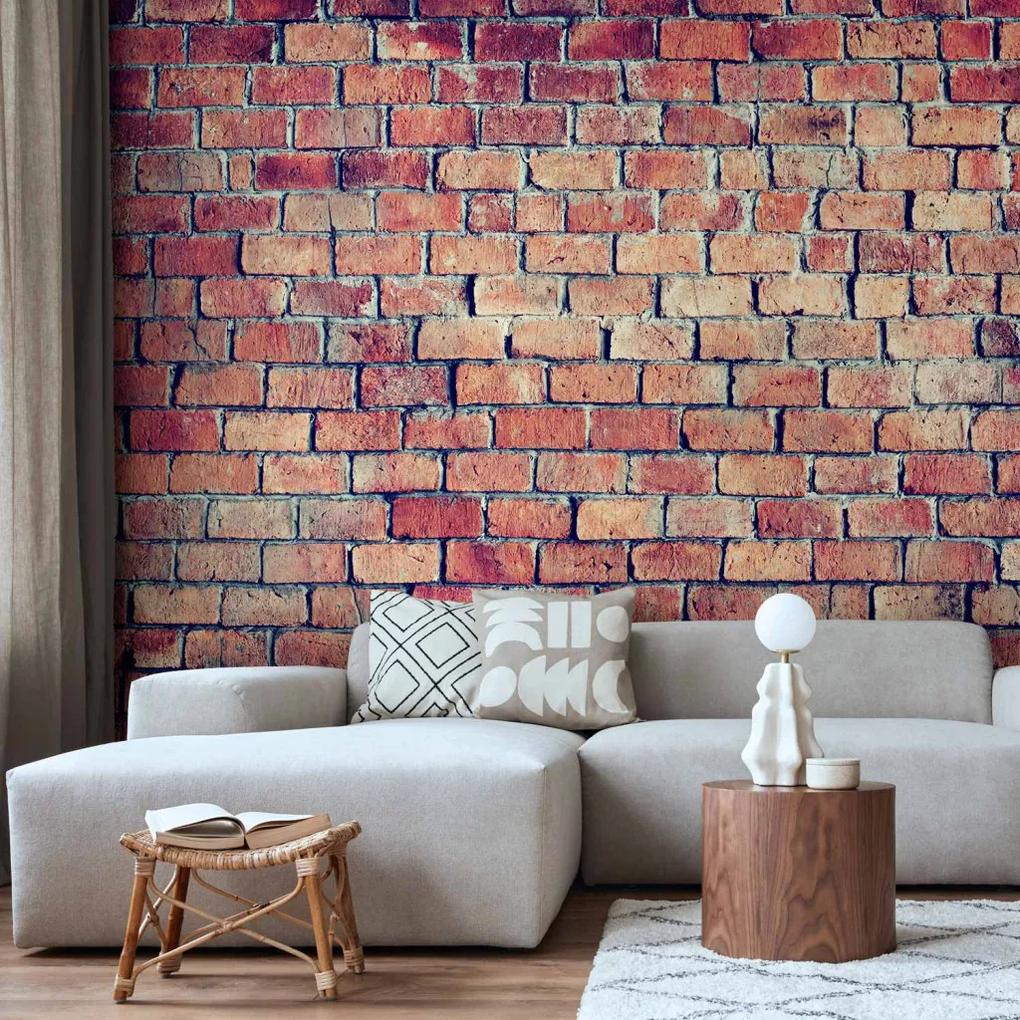 Fototapeta Cihlová zeď - pozadí v designu s oranžovou cihlou v chladném odstínu