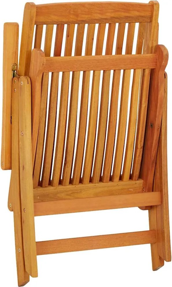 Skládací židle 2 ks, masivní dřevo, eukalyptus 316069