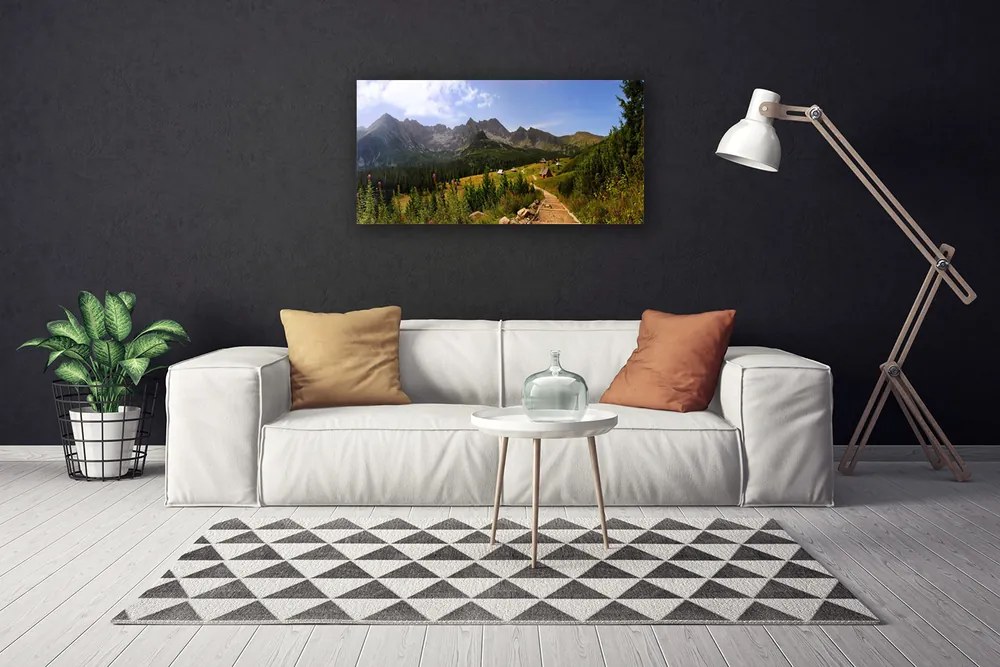 Obraz na plátně Hala Góry Droga Natura Łąka 120x60 cm