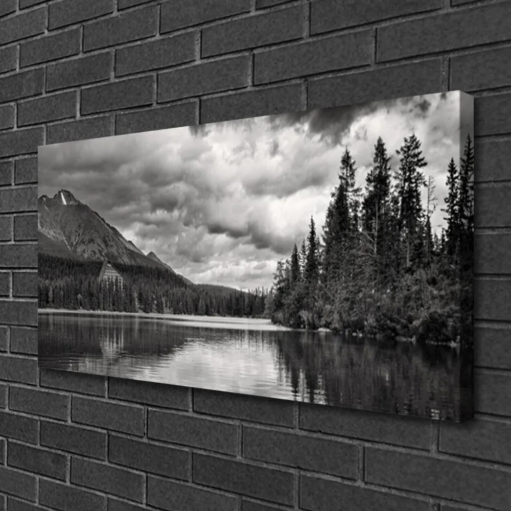 Obraz na plátně Hora Les Jezero Příroda 125x50 cm
