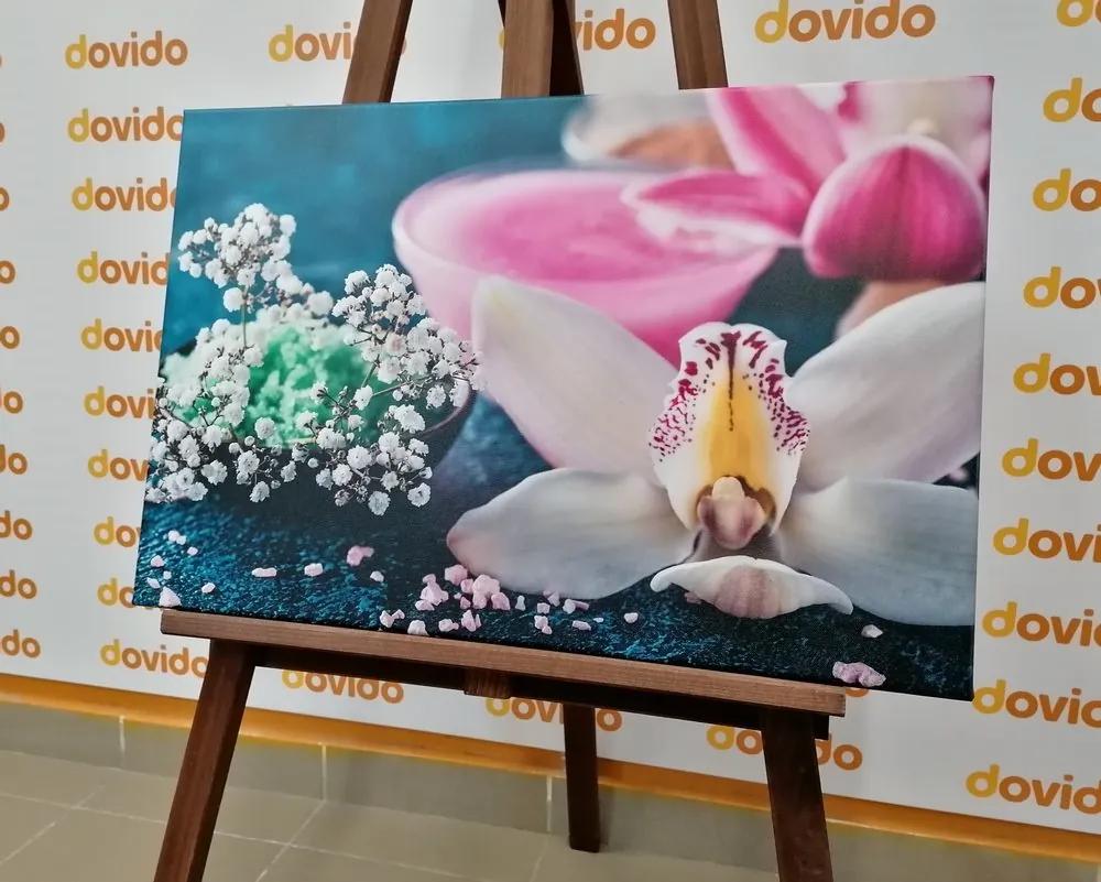 Obraz nádherná detailní orchidej - 60x40 cm