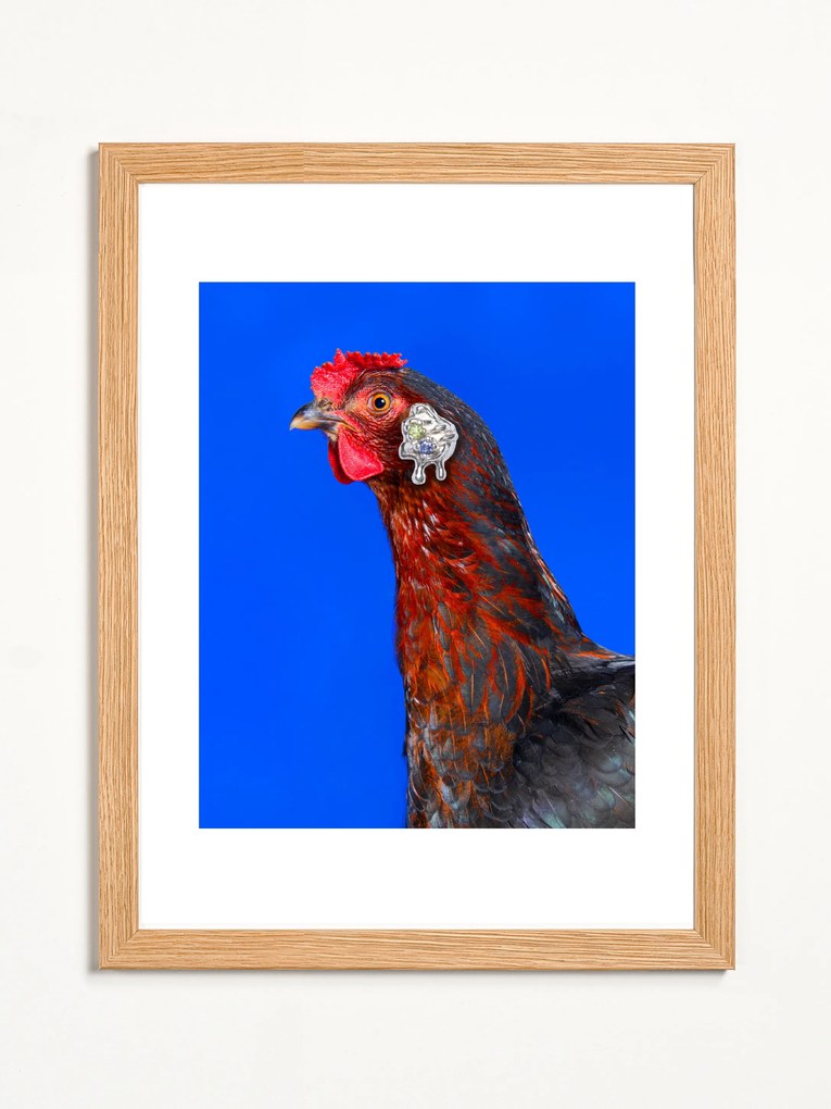 Radka Korandová | Zrození by Anna Baum 1 Rám: Bílý, Velikost: 30 x 20 cm