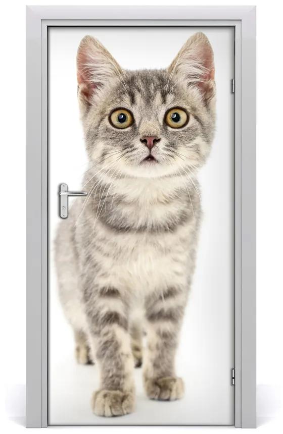 Samolepící fototapeta na dveře Šedá kočka 85x205 cm