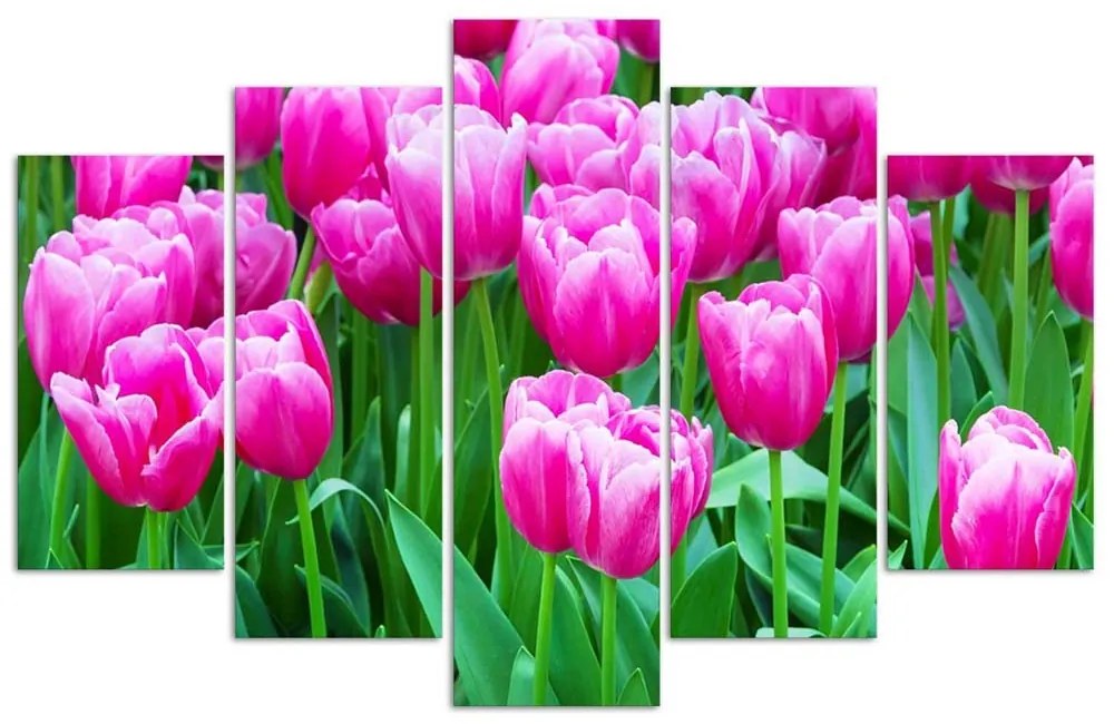 Gario Obraz na plátně Růžové tulipány - 5 dílný Rozměry: 100 x 70 cm