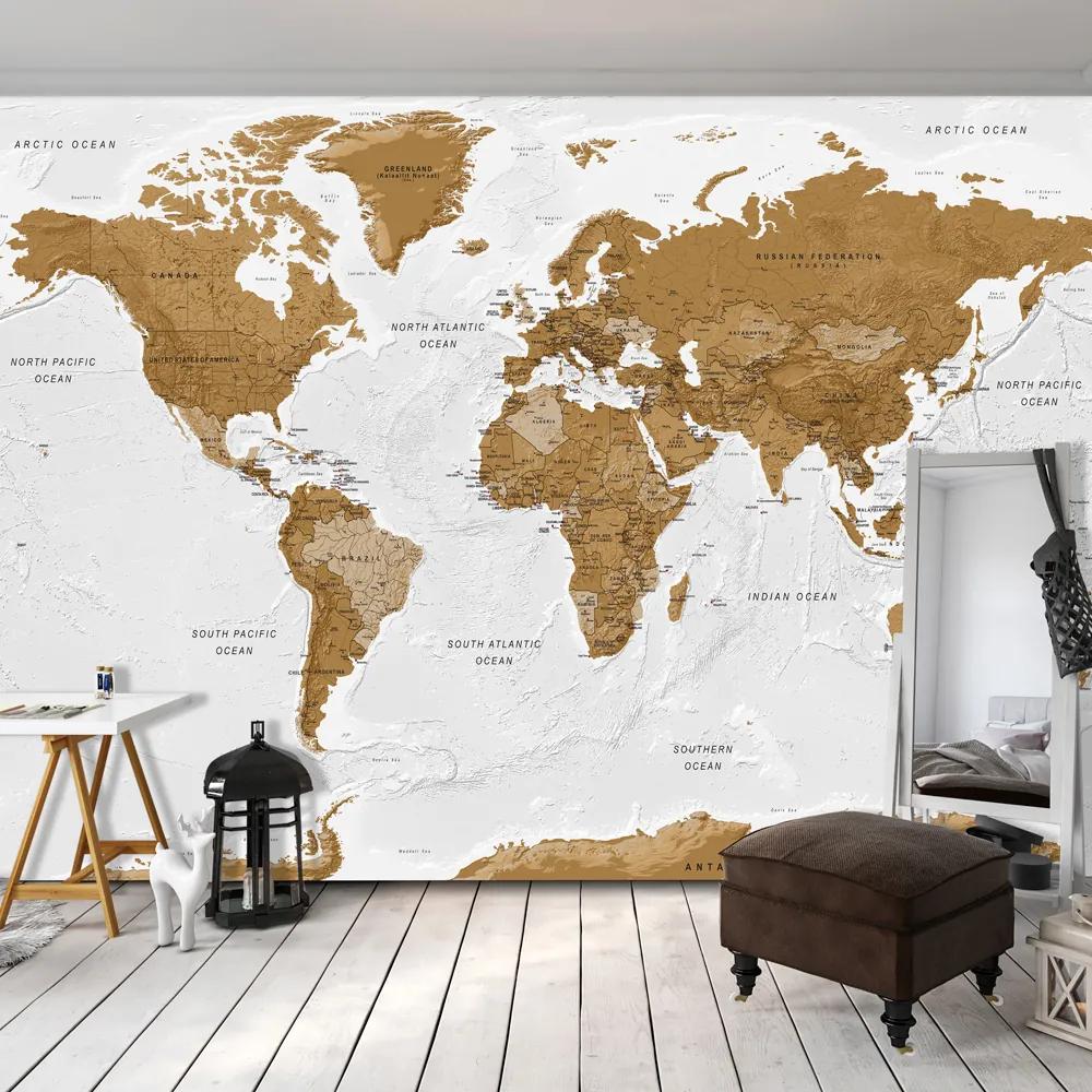 Samolepící fototapeta - Mapa světa: Bílé oceány 441x315