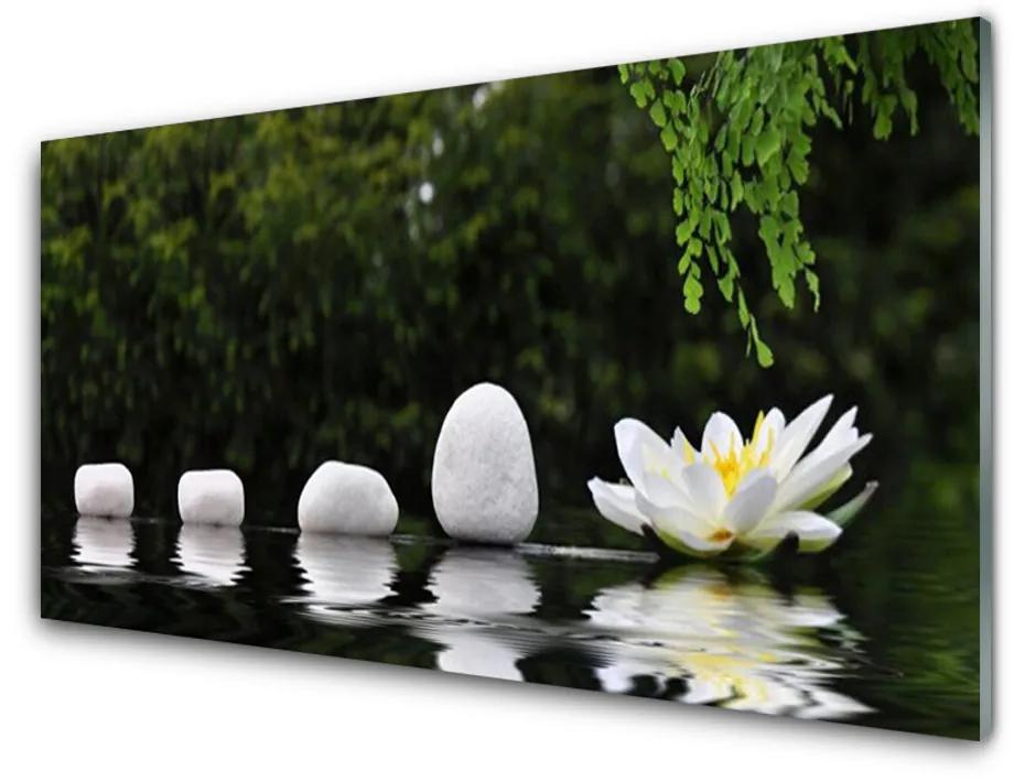 akrylový obraz Kameny Květ Umění 100x50 cm