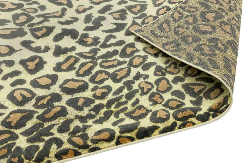 Barevný koberec Ston Leopard Rozměry: 80x150 cm