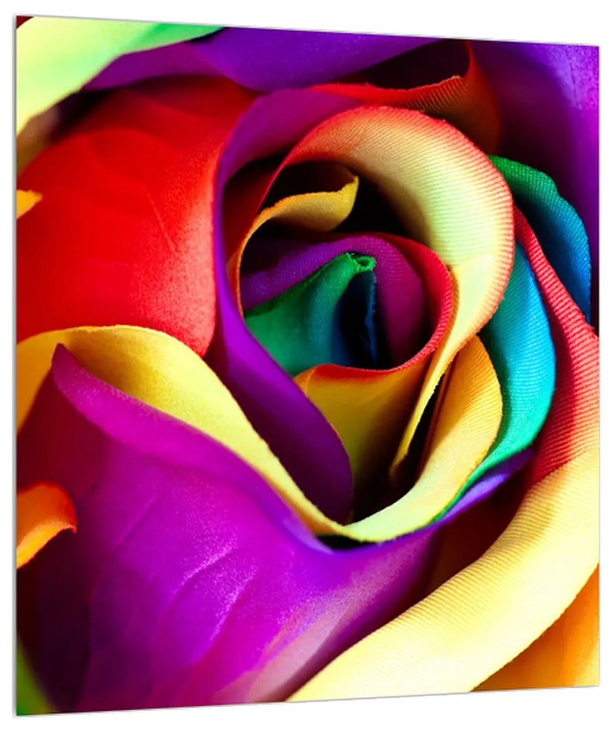 Barevný obraz abstraktní růže (30x30 cm)