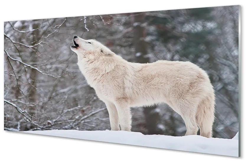 akrylový obraz Vlk v zimě lese 100x50 cm