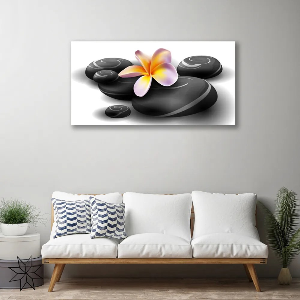 Obraz na plátně Květiny Kameny Příroda 140x70 cm