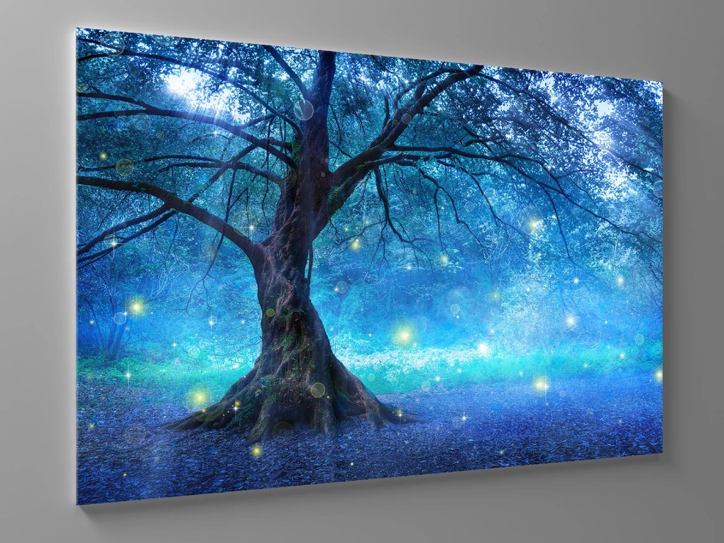 Obraz strom v magickém lese Rozměr: 90 x 60 cm