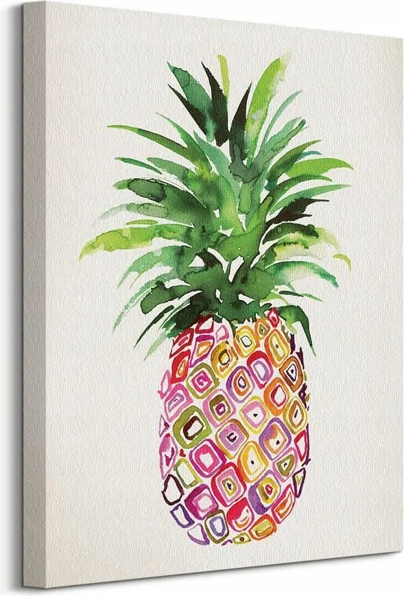 Barevný Ananas – obraz na plátně 40x50 cm