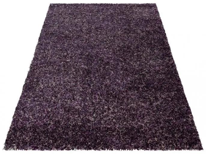 Vopi | Kusový koberec Enjoy shaggy 4500 lila - 200 x 290 cm
