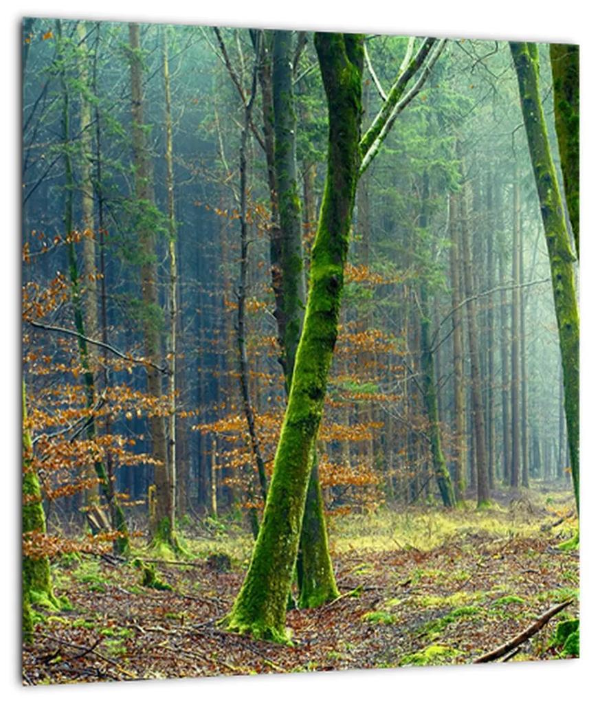 Obraz lesa (30x30 cm)